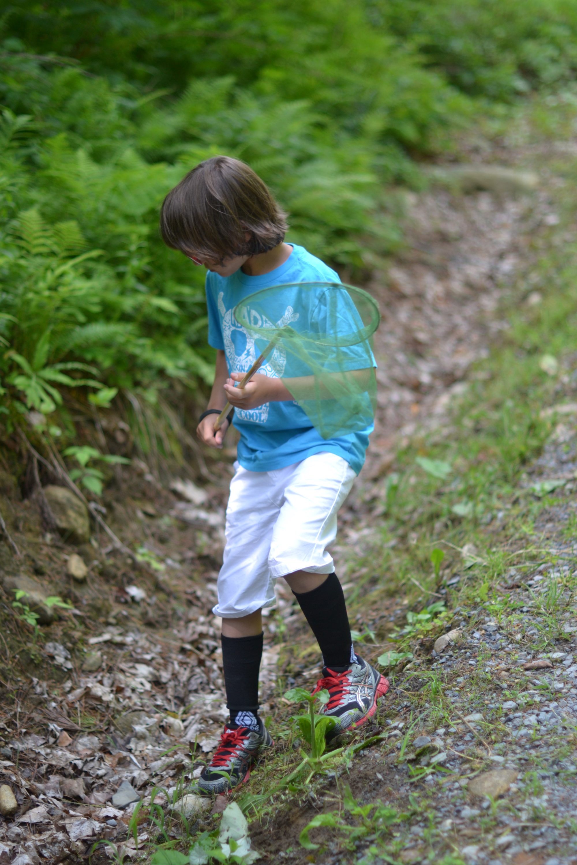Overnight Summer Camp In The Adirondacks - Forest Lake Camp
