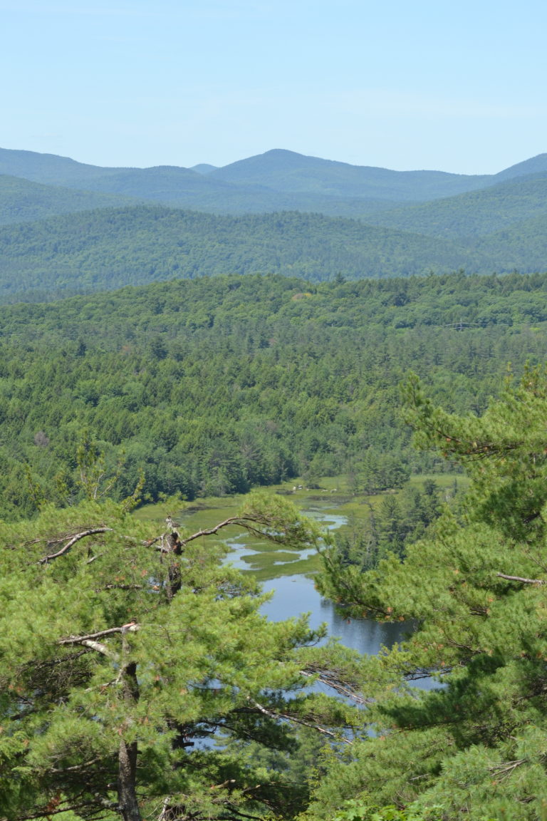 Forest Lake Camp - Summer Camp for Boys and Girls in the Adirondacks